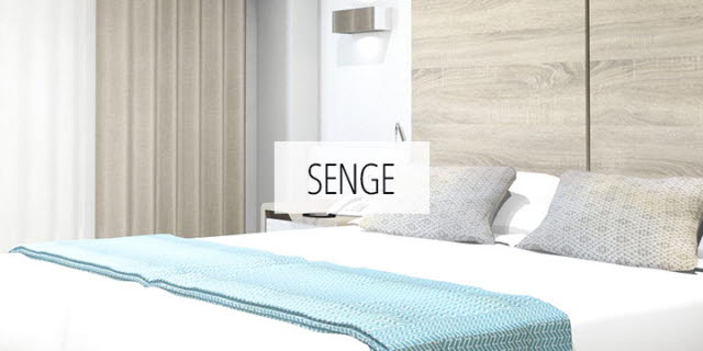 Senge
