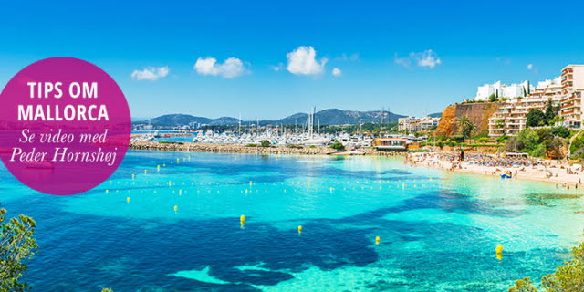 Mallorca - Book rejser til Mallorca hos Bravo Tours