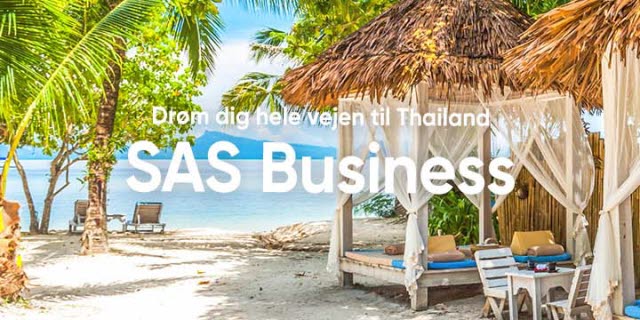 SAS business